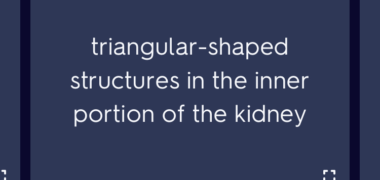 Solved triangular-shaped structures in the inner portion of | Chegg.com