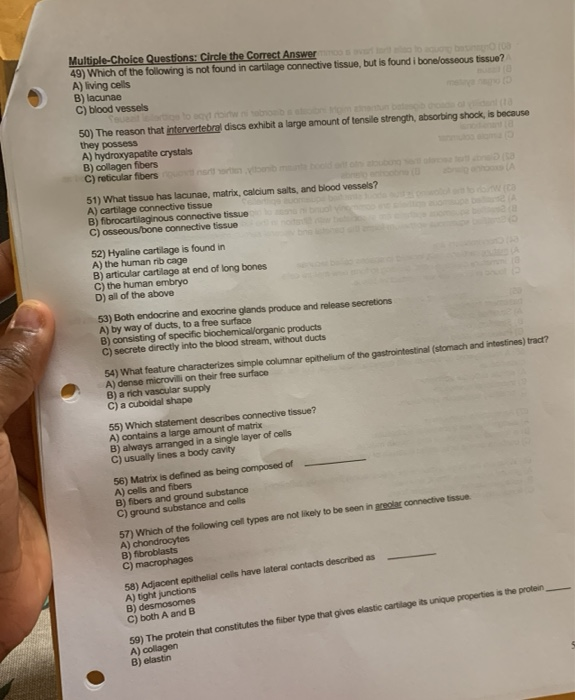 Solved Multiple-Choice Questions: Circle the Correct Answer | Chegg.com