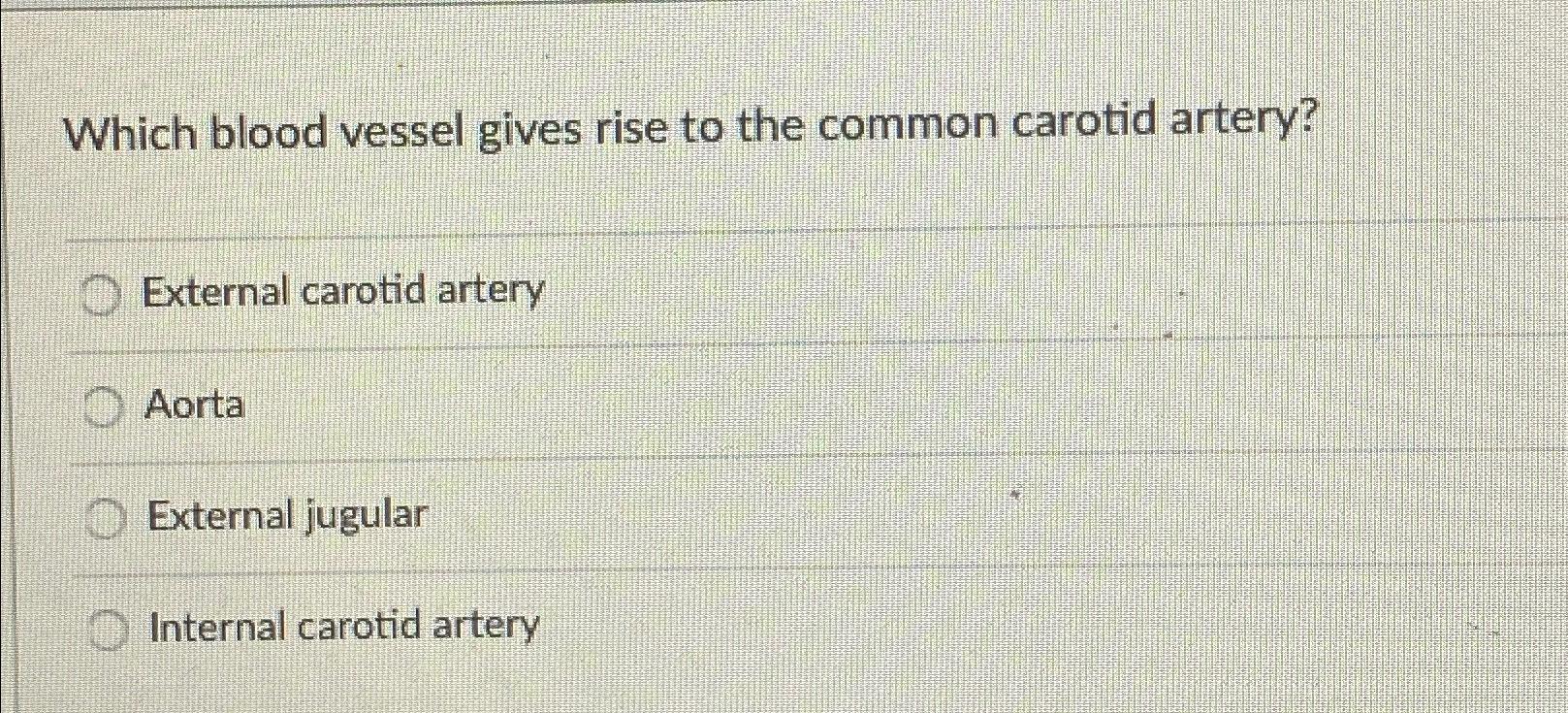 Solved Which blood vessel gives rise to the common carotid | Chegg.com