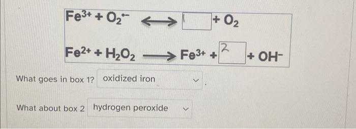 Solved Fe3++O2−− O2Fe2++H2O2 Fe3+++OH− What goes in box 1 ? | Chegg.com