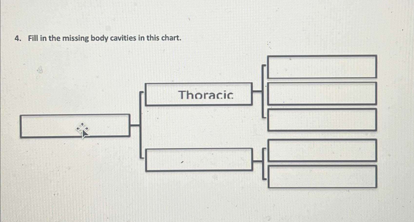 Solved Fill in the missing body cavities in this chart. | Chegg.com