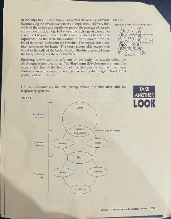 Solved Circulatory and Respiratory Systems circulation: | Chegg.com