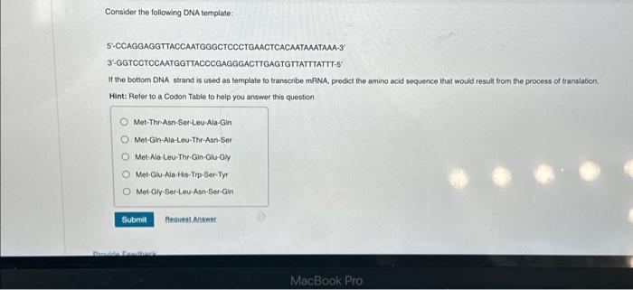 Solved Consider the following DNA template: | Chegg.com
