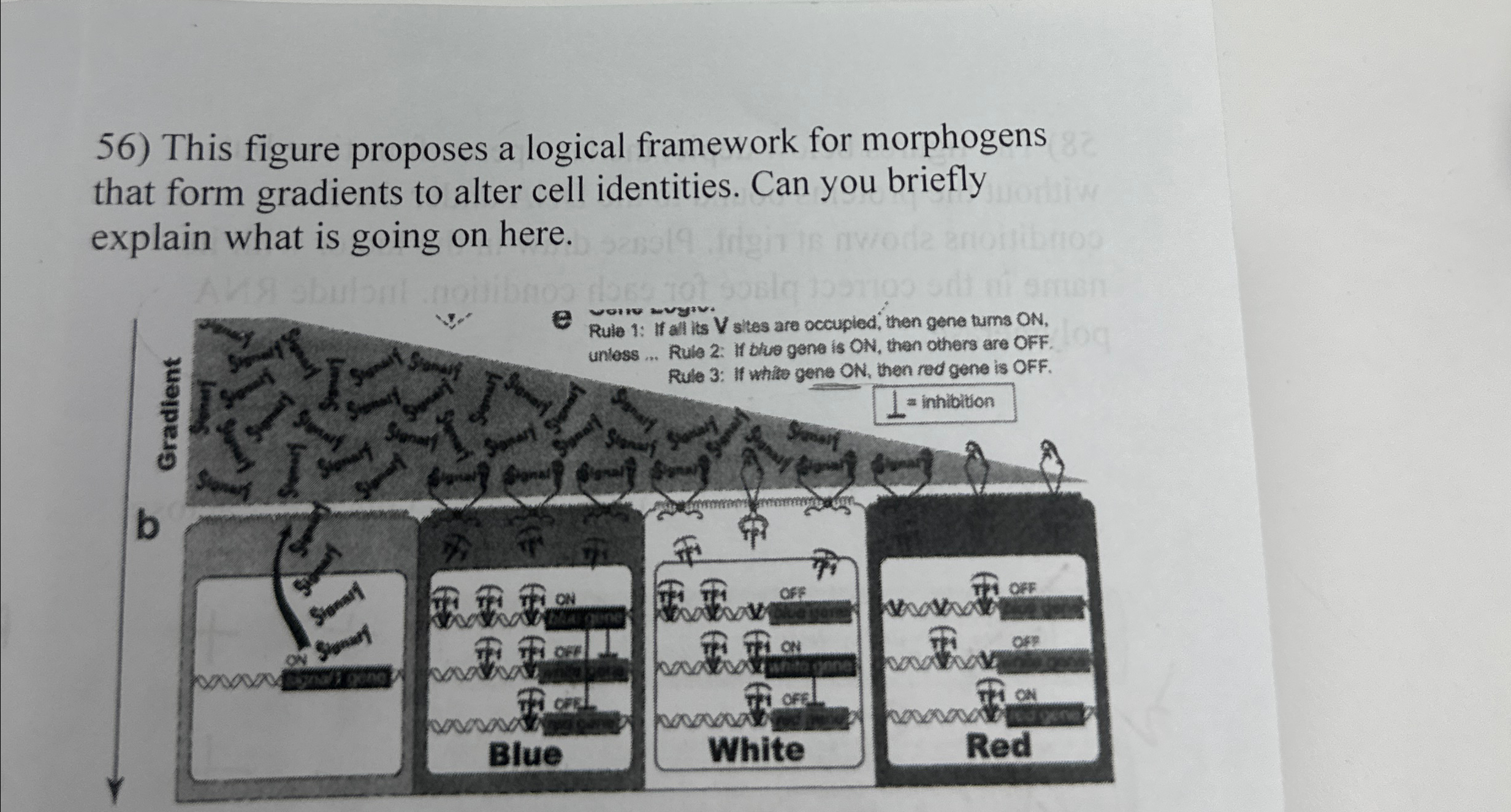 Solved This figure proposes a logical framework for | Chegg.com