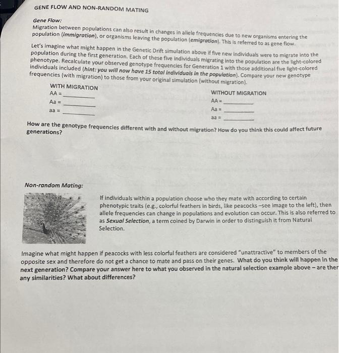 Solved GENE FLOW AND NON-RANDOM MATING Gene Flow: Migration | Chegg.com