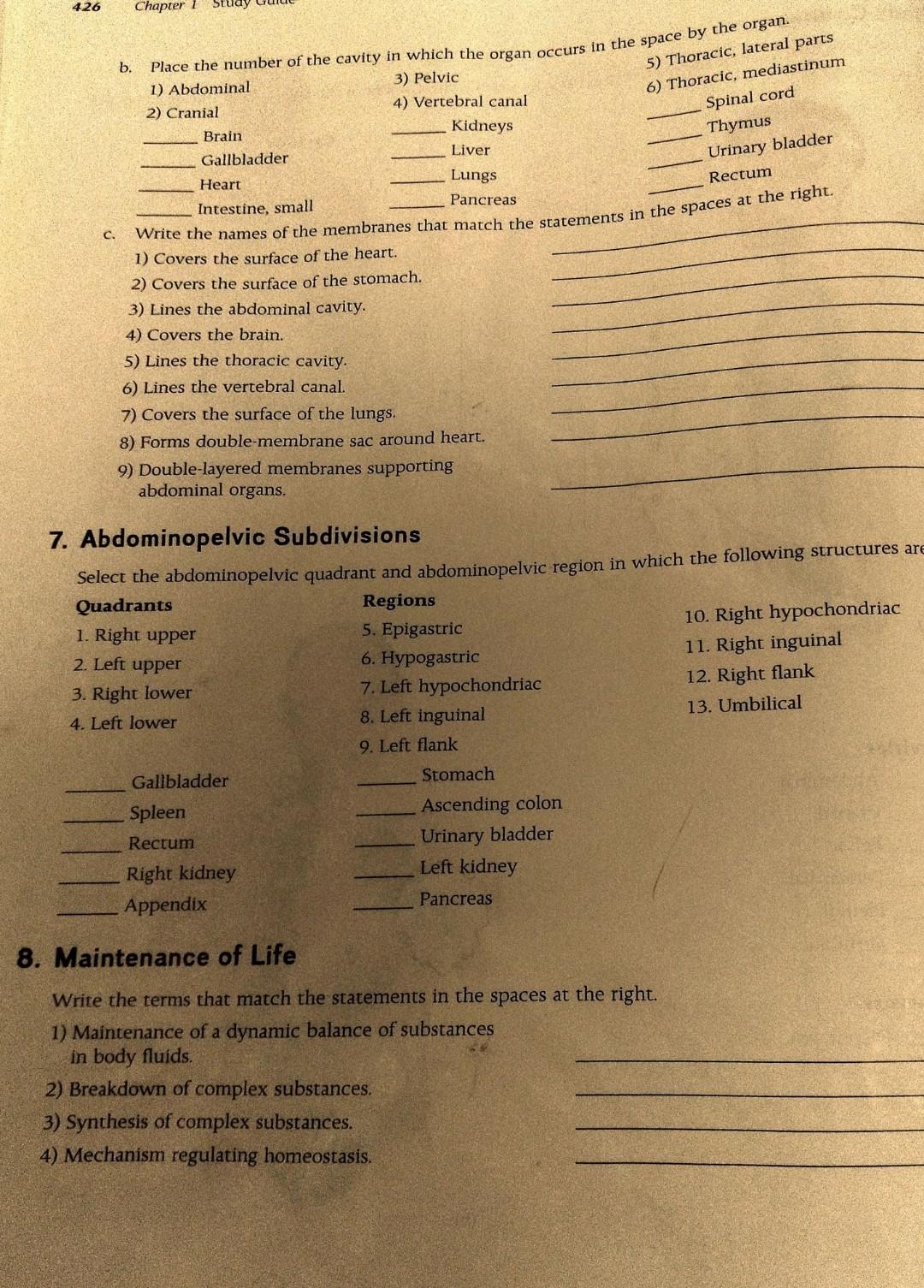 Solved o) List the five basic needs essential for human | Chegg.com