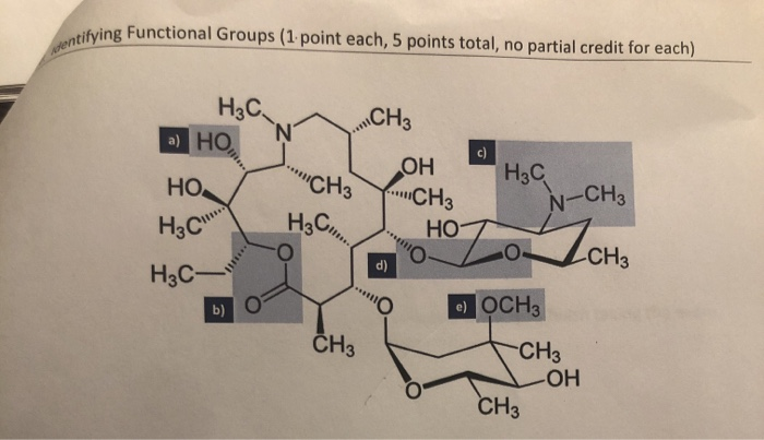 Solved ifying Functional Groups (1 point each, 5 points | Chegg.com