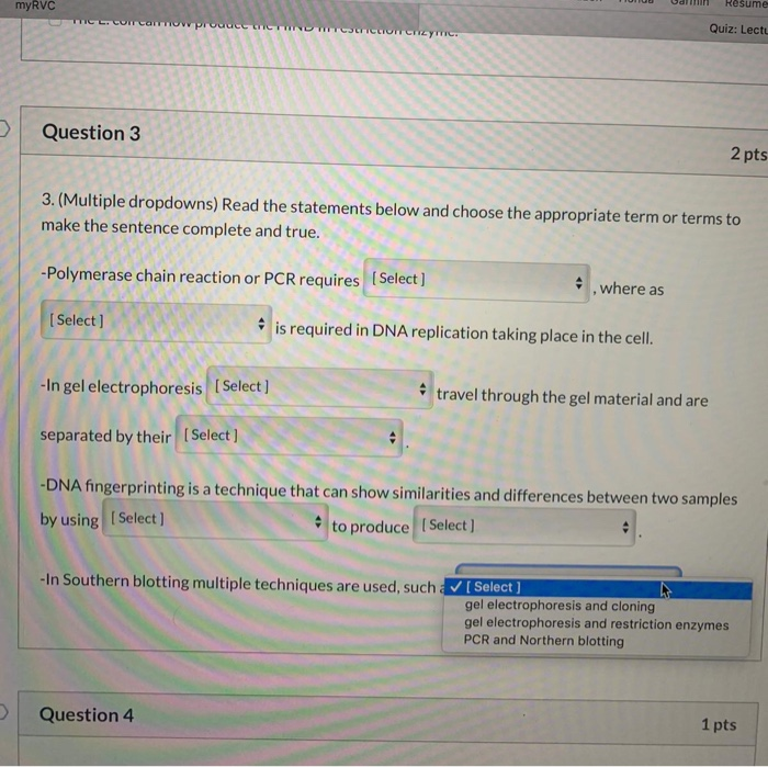 Solved Question 3 3.(Multiple dropdowns) Read the statements | Chegg.com Solved Question 3 3.(Multiple dropdowns) Read the statements | Chegg.com