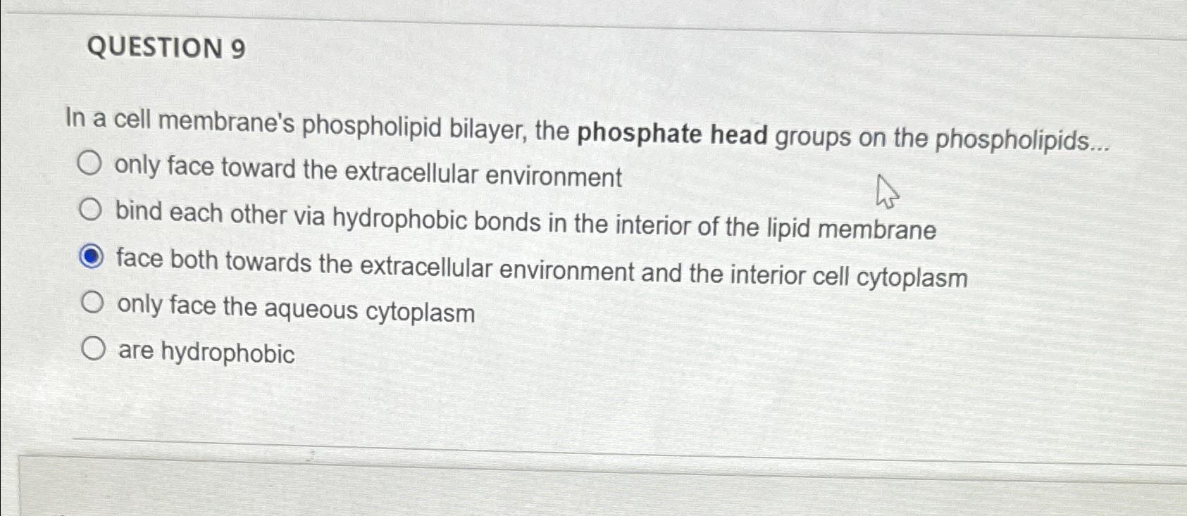 Solved QUESTION 9In a cell membrane's phospholipid bilayer, | Chegg.com