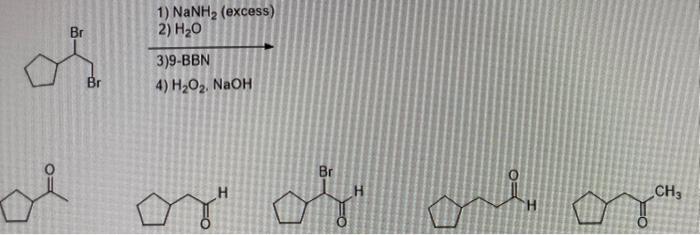 Solved 1) NaNH (excess) 2) H20 Br 3)9-BBN 4) H2O2. NaOH Br | Chegg.com