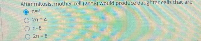 Solved After mitosis, mother cell (2n=8) would produce | Chegg.com
