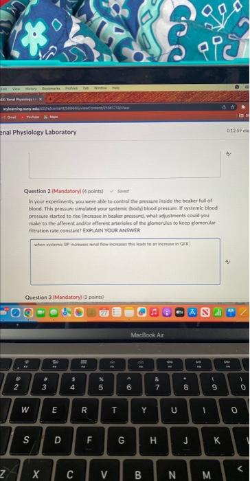 Solved Question 2 (Mandatory) (4 points) In your | Chegg.com