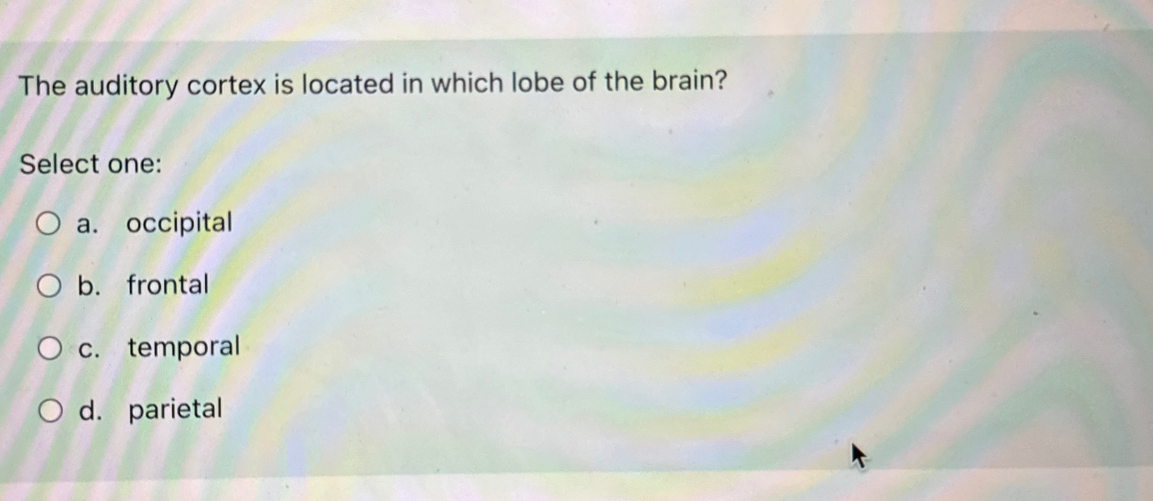 Solved The auditory cortex is located in which lobe of the | Chegg.com