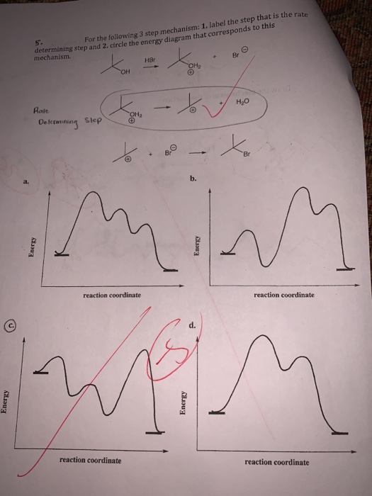 Solved For the following 3 step mechanism: 1. label the step | Chegg.com