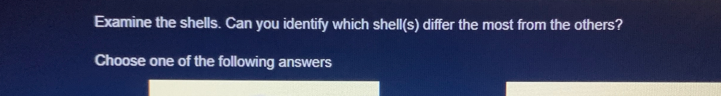 Solved Examine the shells. Can you identify which shell(s) | Chegg.com Solved Examine the shells. Can you identify which shell(s) | Chegg.com