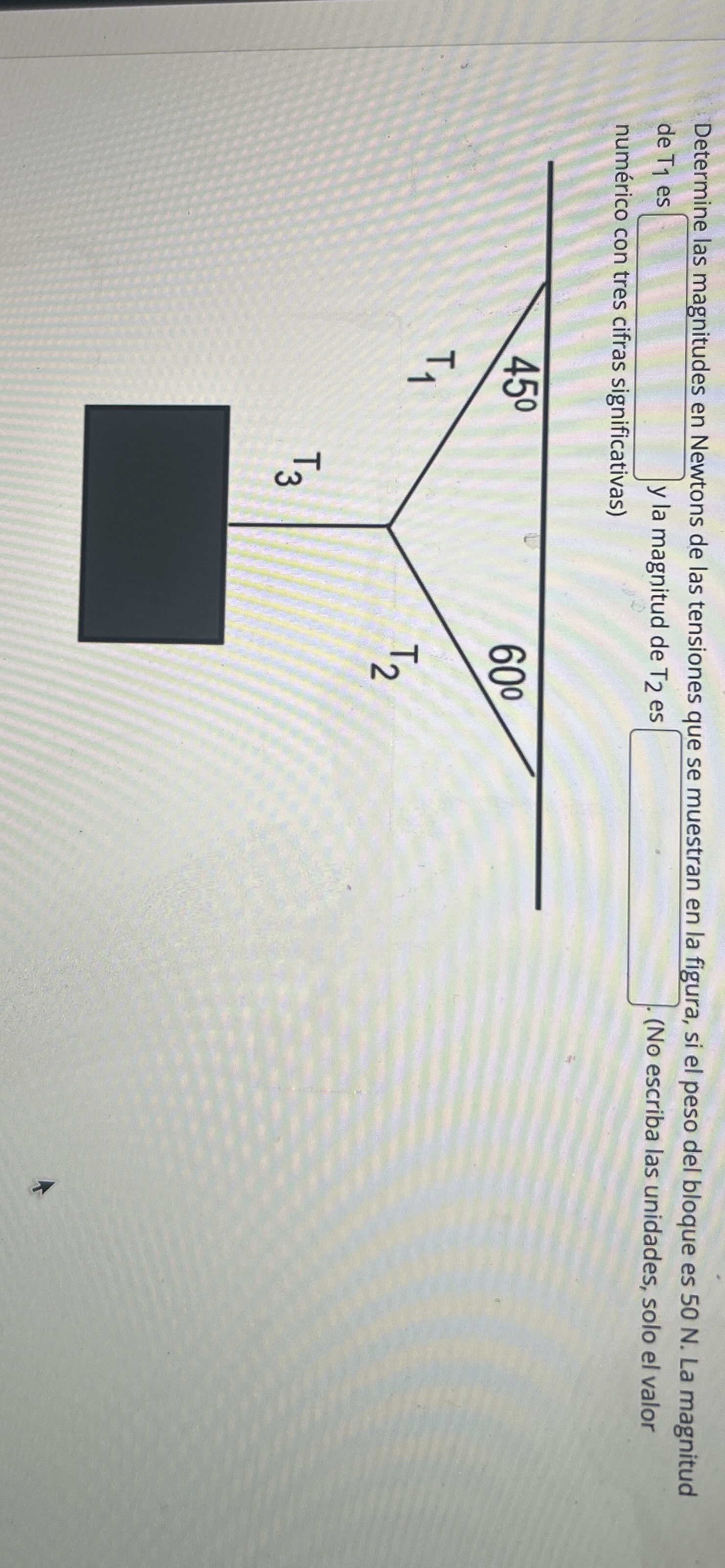 Solved Determine las magnitudes en Newtons de las tensiones | Chegg.com