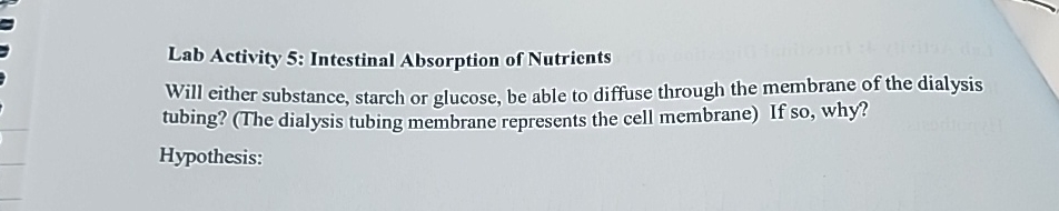 Solved Lab Activity 5: Intestinal Absorption of | Chegg.com