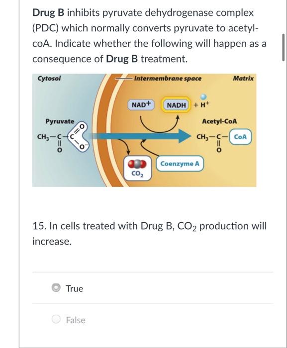 Solved Drug B inhibits pyruvate dehydrogenase complex (PDC) | Chegg.com