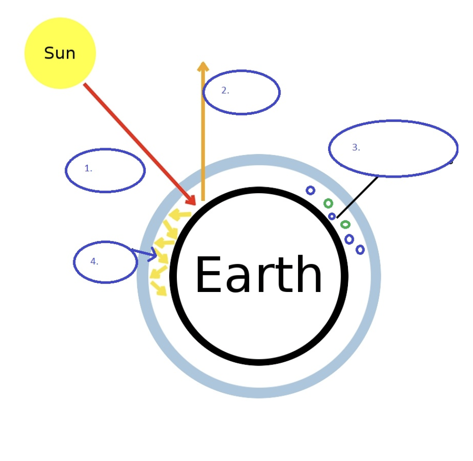 Solved Select the correct label for each part of the diagram | Chegg.com