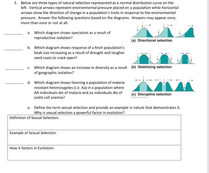 Solved 3. Below are three types of natural selection | Chegg.com