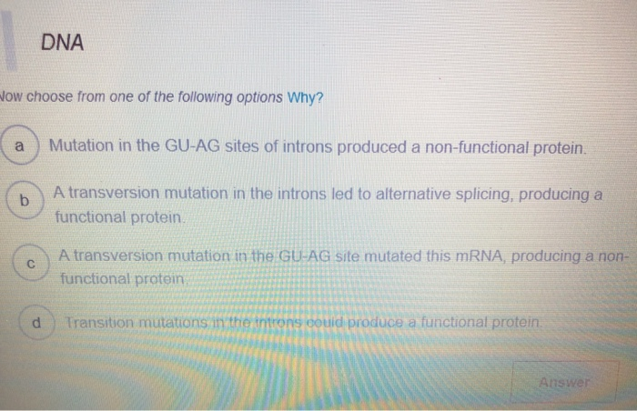 Solved Spaced Practice o 6) pre-mRNA 5'UTR 1 2 3 4 5 3'UTR | Chegg.com
