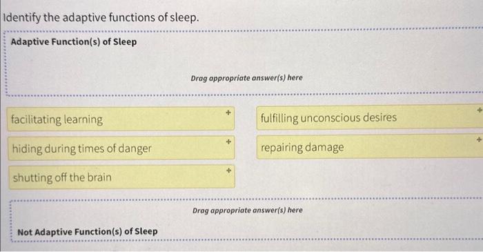 Solved Identify the adaptive functions of sleep. Adaptive | Chegg.com