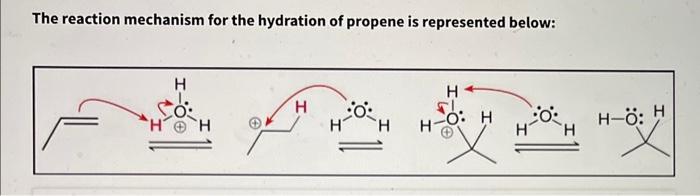 Solved The reaction mechanism for the hydration of propene | Chegg.com