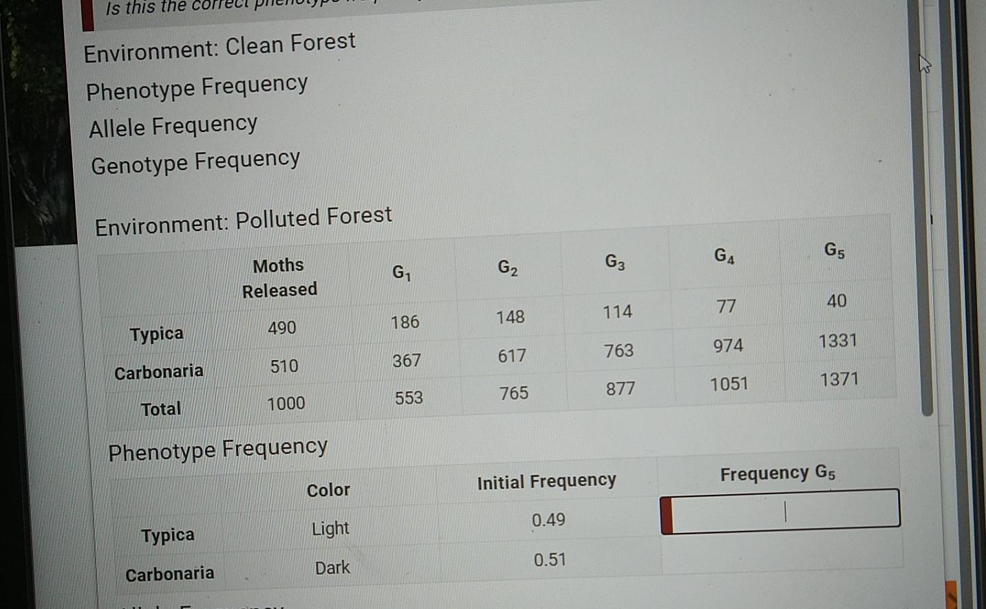 Solved Environment: Clean ForestPhenotype FrequencyAllele | Chegg.com