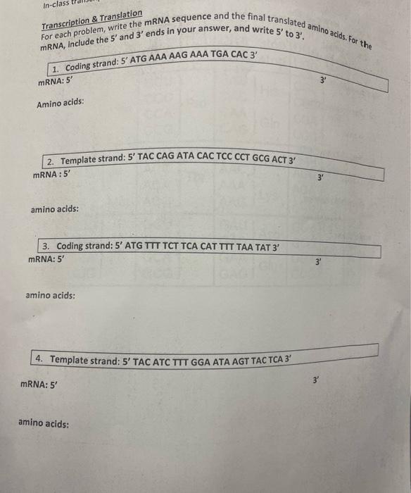 Solved Transcription \& Translation For each problem, write | Chegg.com