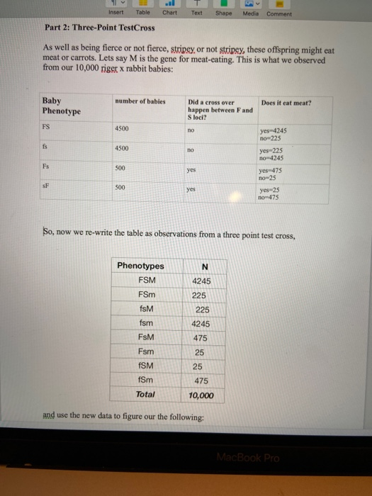 Solved Insert Table Chart Text Shape Media Comment Part 2: | Chegg.com