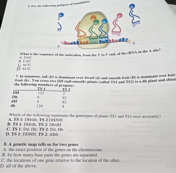 Solved 6. For the follow What is the sequence of the | Chegg.com