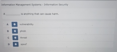 Information Management Systems - ﻿Information | Chegg.com