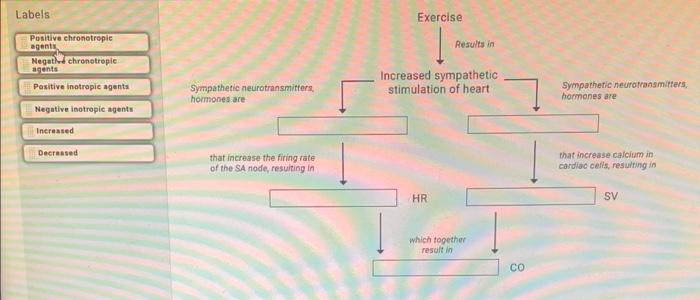 Solved Labels Exercise | Chegg.com
