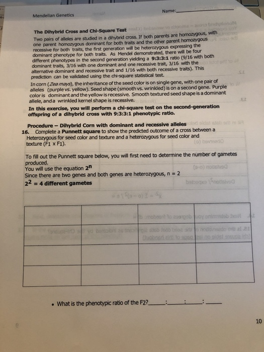 Solved Mendelian Genetics monohybrid cross. In this exercise | Chegg.com