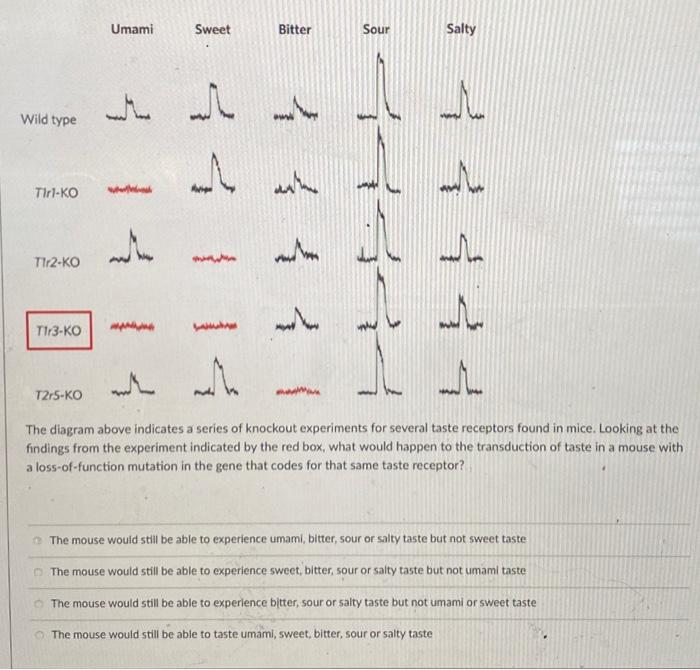 The diagram above indicates a series of knockout | Chegg.com