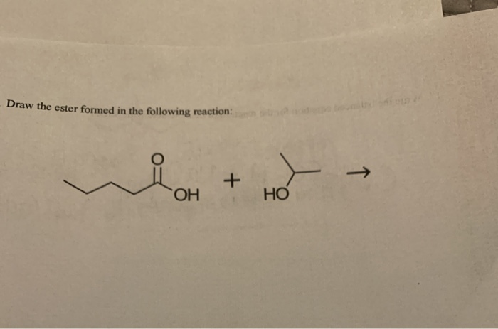 Solved Draw the ester formed in the following reaction: + ОН | Chegg.com