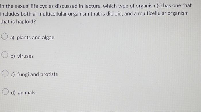 Solved In The Sexual Life Cycles Discussed In Lecture Which
