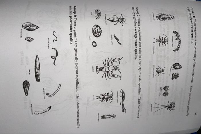 Solved Environmental Science Based on the organisms you | Chegg.com