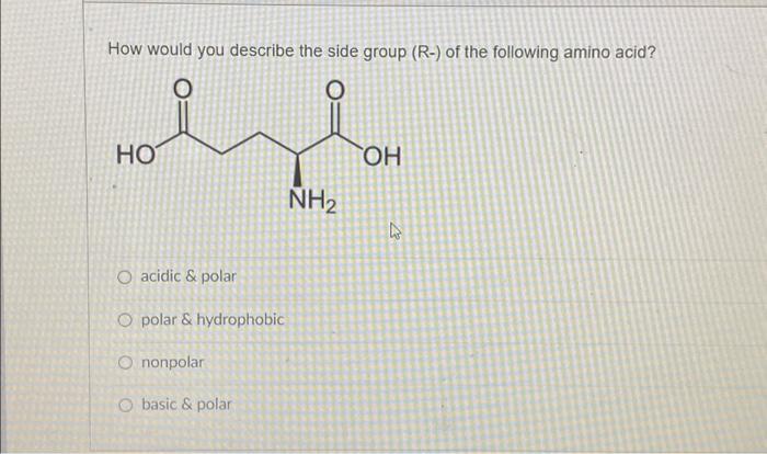 Solved How Would You Describe The Side Group R Of The