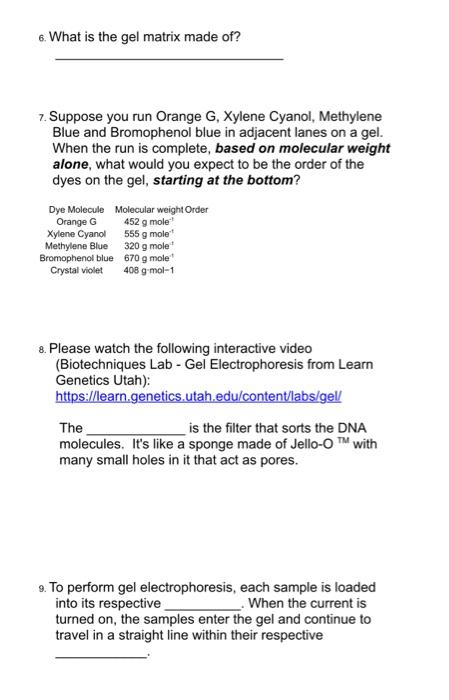 Solved 6. What is the gel matrix made of? 7. Suppose you run | Chegg.com