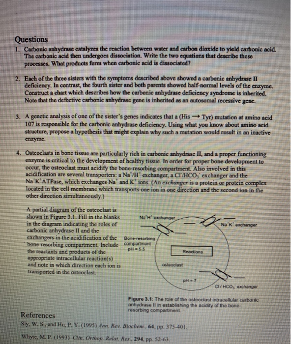 Solved Questions 1. Carbonic anhydrase catalyzes the | Chegg.com