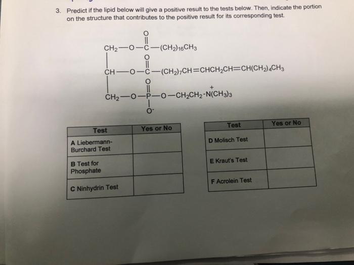 Solved 3. Predict if the lipid below will give a positive | Chegg.com