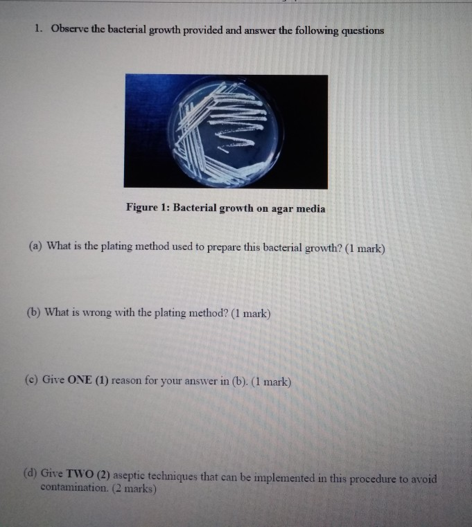 Solved 1. Observe the bacterial growth provided and answer | Chegg.com