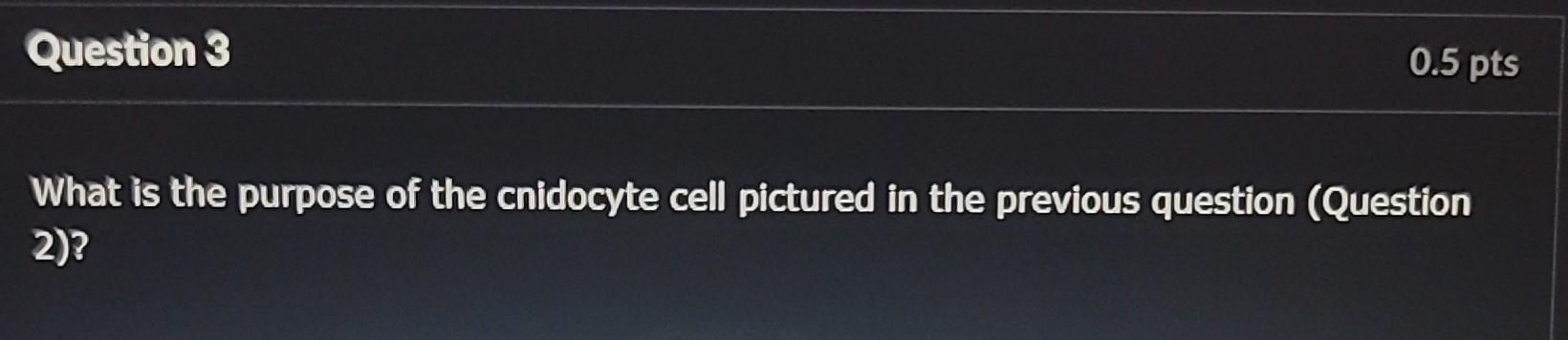 Solved To the right is a microscope image of a Hydra | Chegg.com