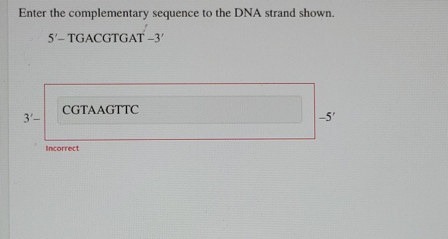 Solved Enter the complementary sequence to the DNA strand | Chegg.com