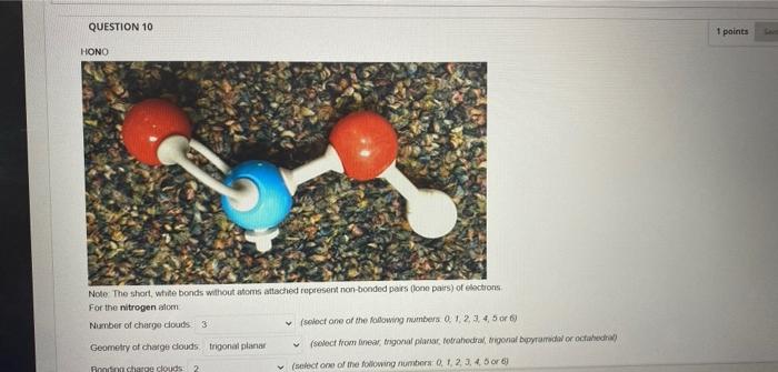 Solved QUESTION 10 HONO Nole. The short, white bonds withoit | Chegg.com