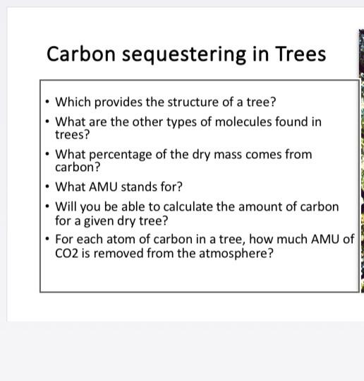 Solved Carbon sequestering in Trees • Which provides the | Chegg.com