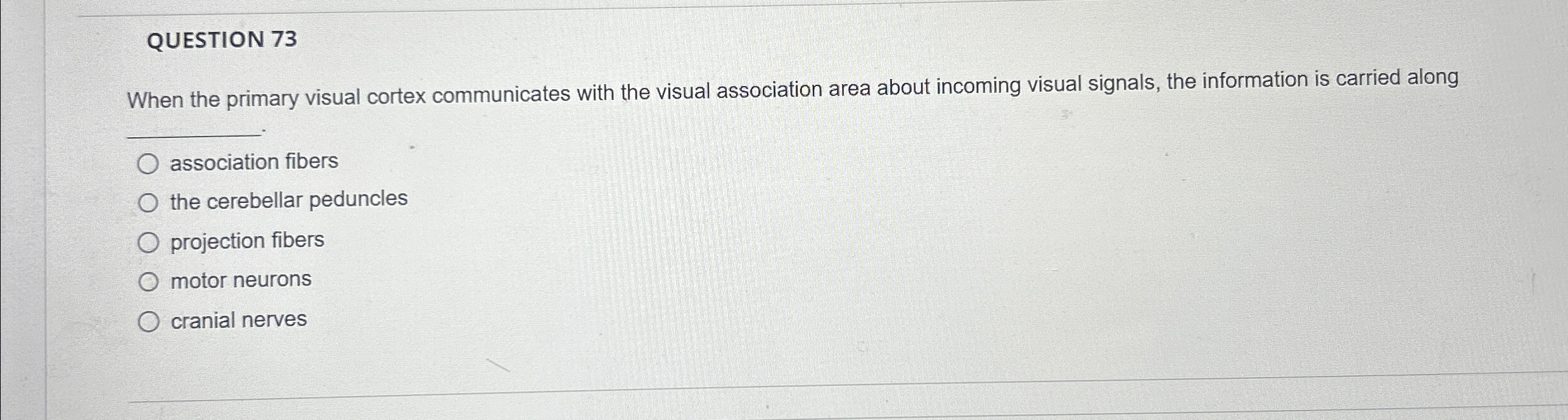 Solved QUESTION 73When the primary visual cortex | Chegg.com