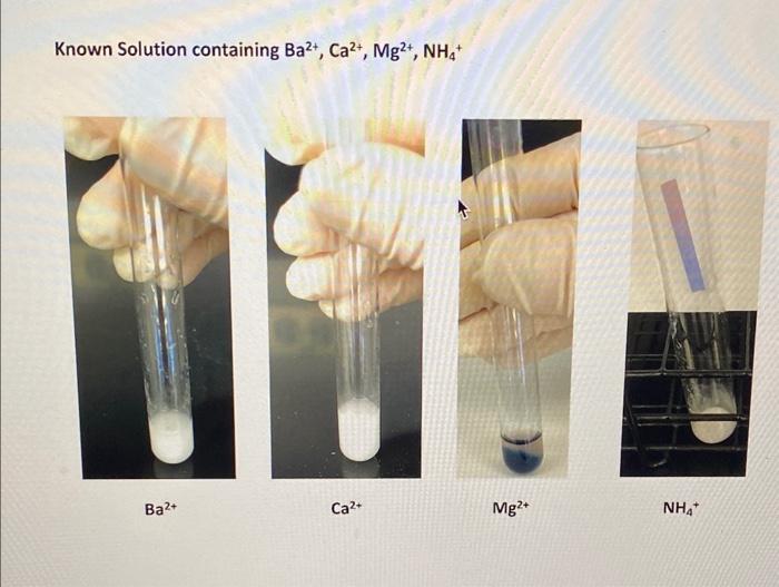 Solved Identifying Cations in a Mixture Nar Date Section lab | Chegg.com