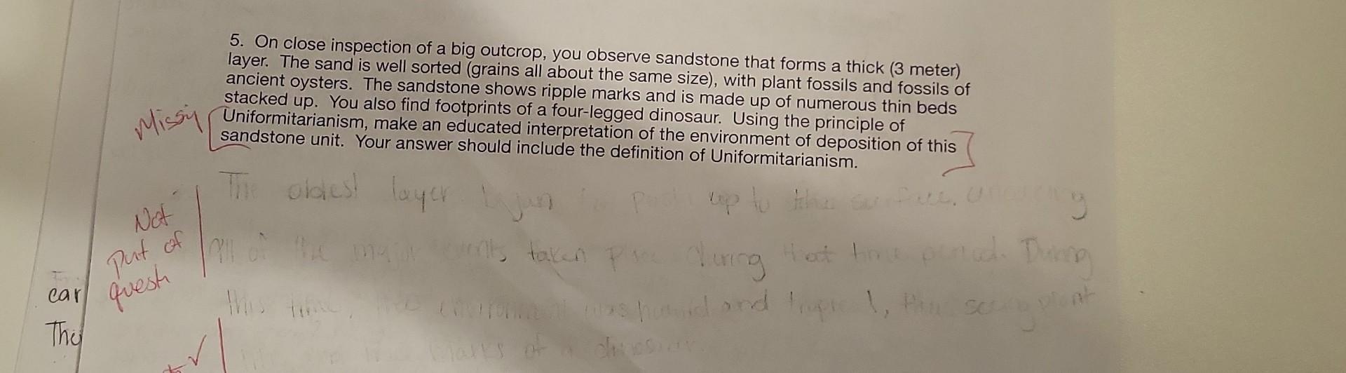 Solved 5. On close inspection of a big outcrop, you observe | Chegg.com